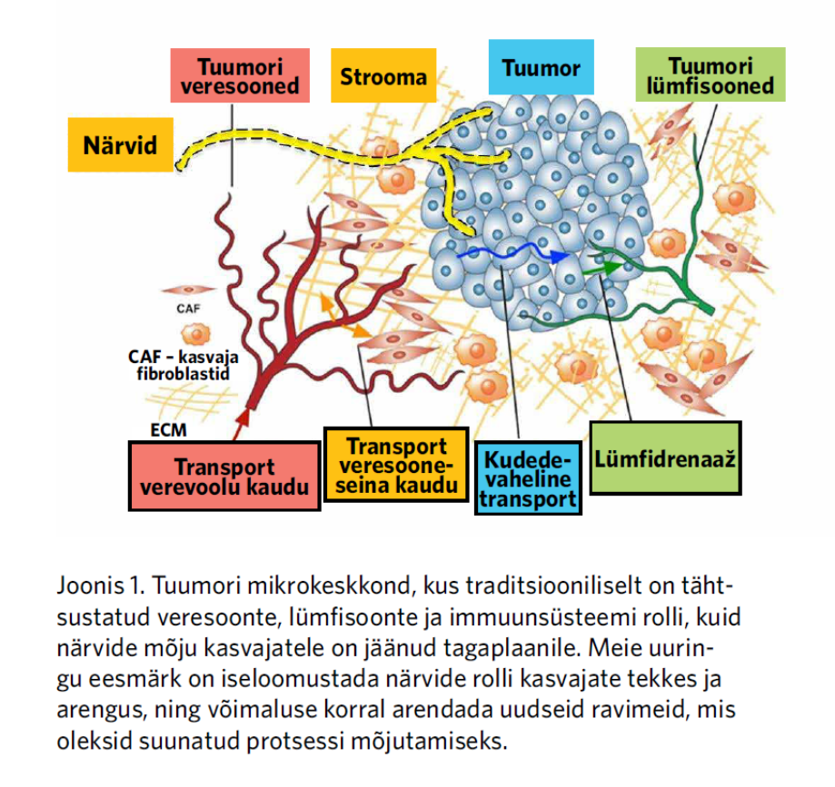Teadus kliinilise tööga käsikäes | Onkoloogiakeskus